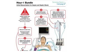 SEPSIS and 1 hr bundle sepsis campaign.pdf