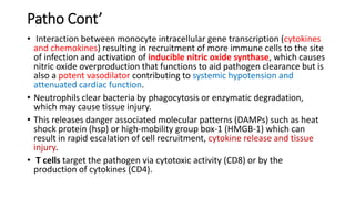 sepsis.pdfw3et34444332222t7884336792wdkhsd | PPT