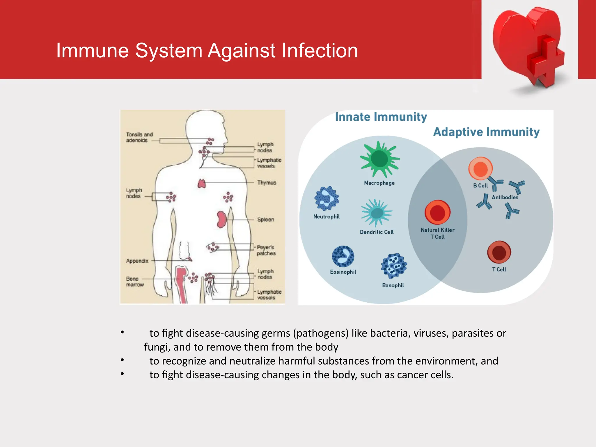 SEPSIS etiologi dan penatalaksaannnya.pptx