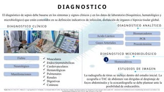 SEPSIS, conceptos, fisiopatologia, clinica | PPTX