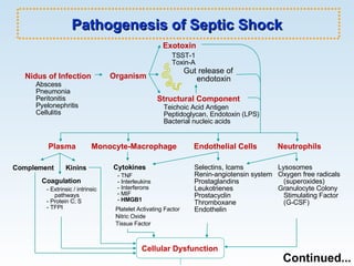 Septic Shock Pathophysiology Flowchart