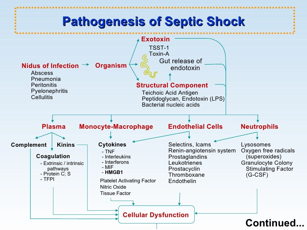 Sepsis And Septic Shock