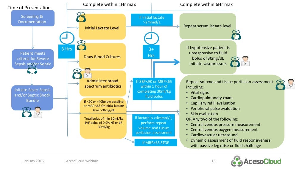 Sepsis Core Measures 2024 Adda Livvie