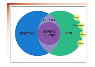 Sepsis 05 12 definitief | PPT