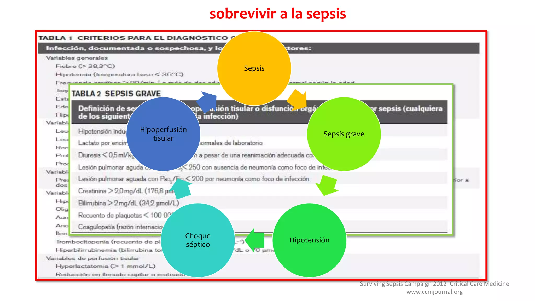 Surviving Sepsis Campaign 2012 Critical Care Medicine (SOBREVIVIENDO A ...