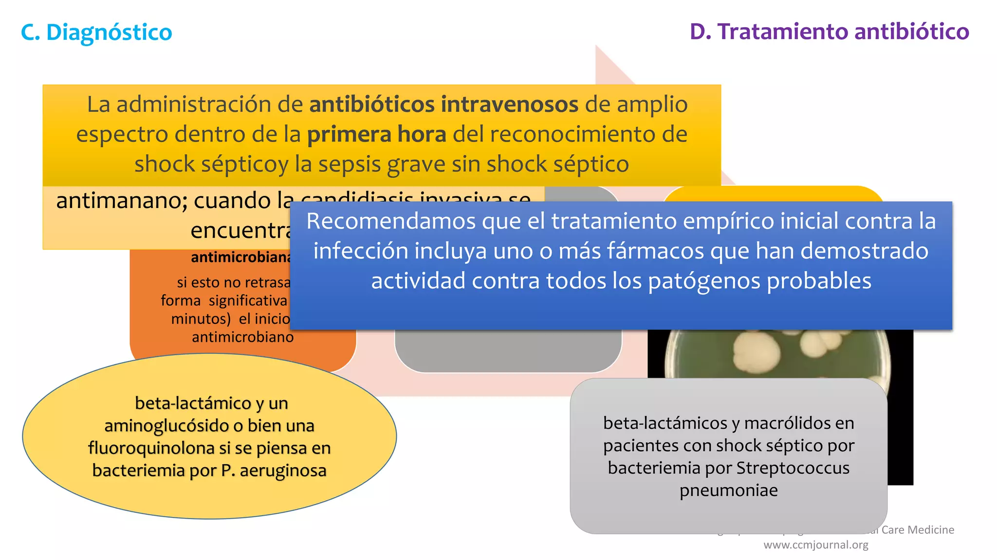 Surviving Sepsis Campaign 2012 Critical Care Medicine (SOBREVIVIENDO A ...