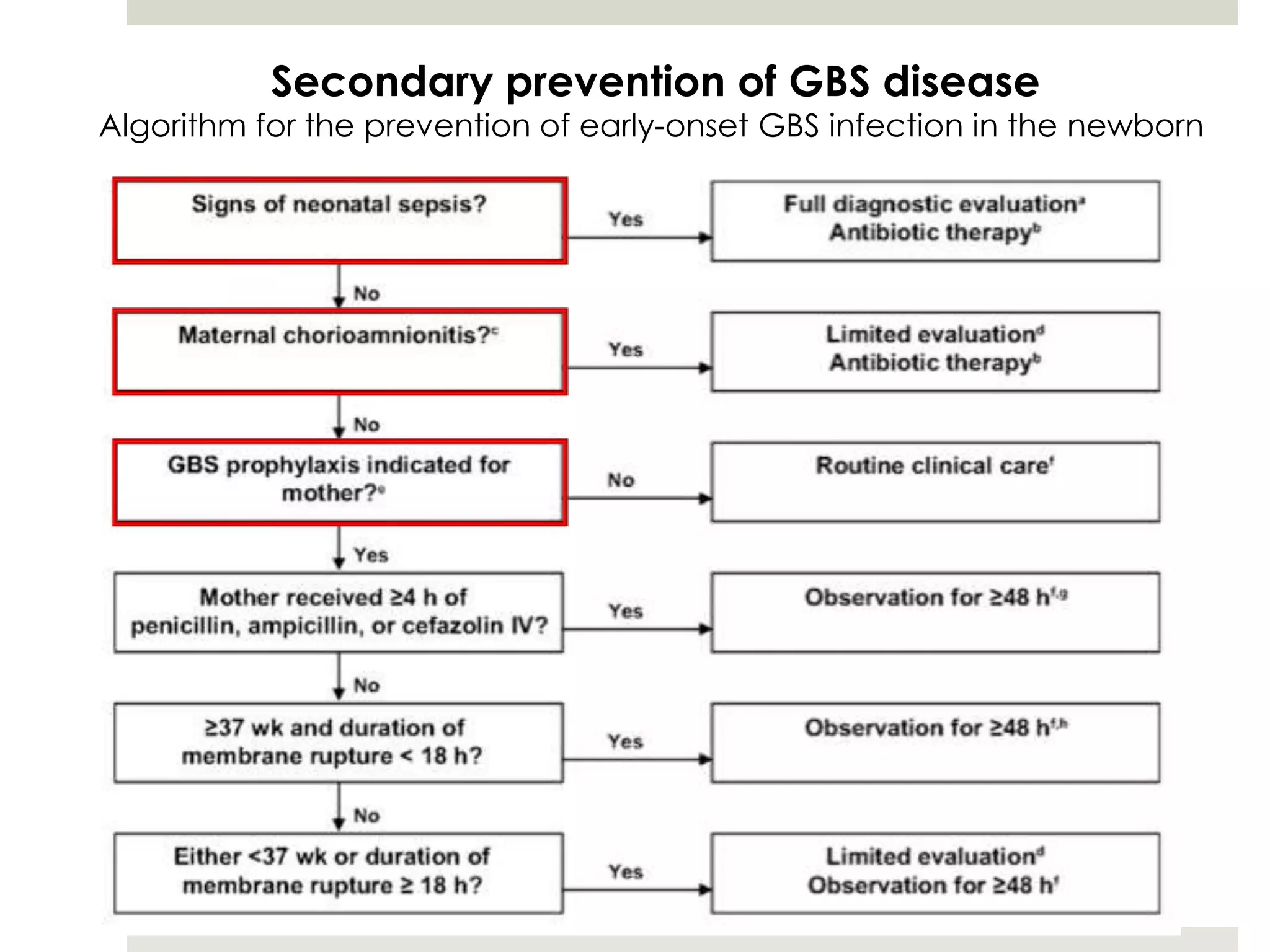 Neonatal Sepsis AAP 2013 | PPTX