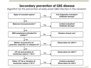 Neonatal Sepsis AAP 2013 | PPT