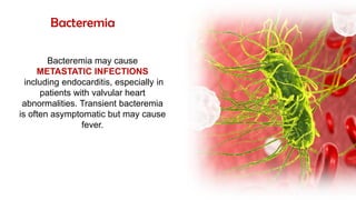 Sepsis and bacteremia | PPT