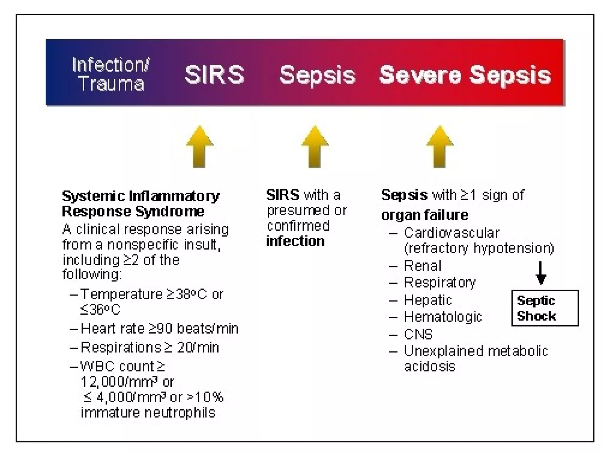 Sepsis and septic shock | PPT