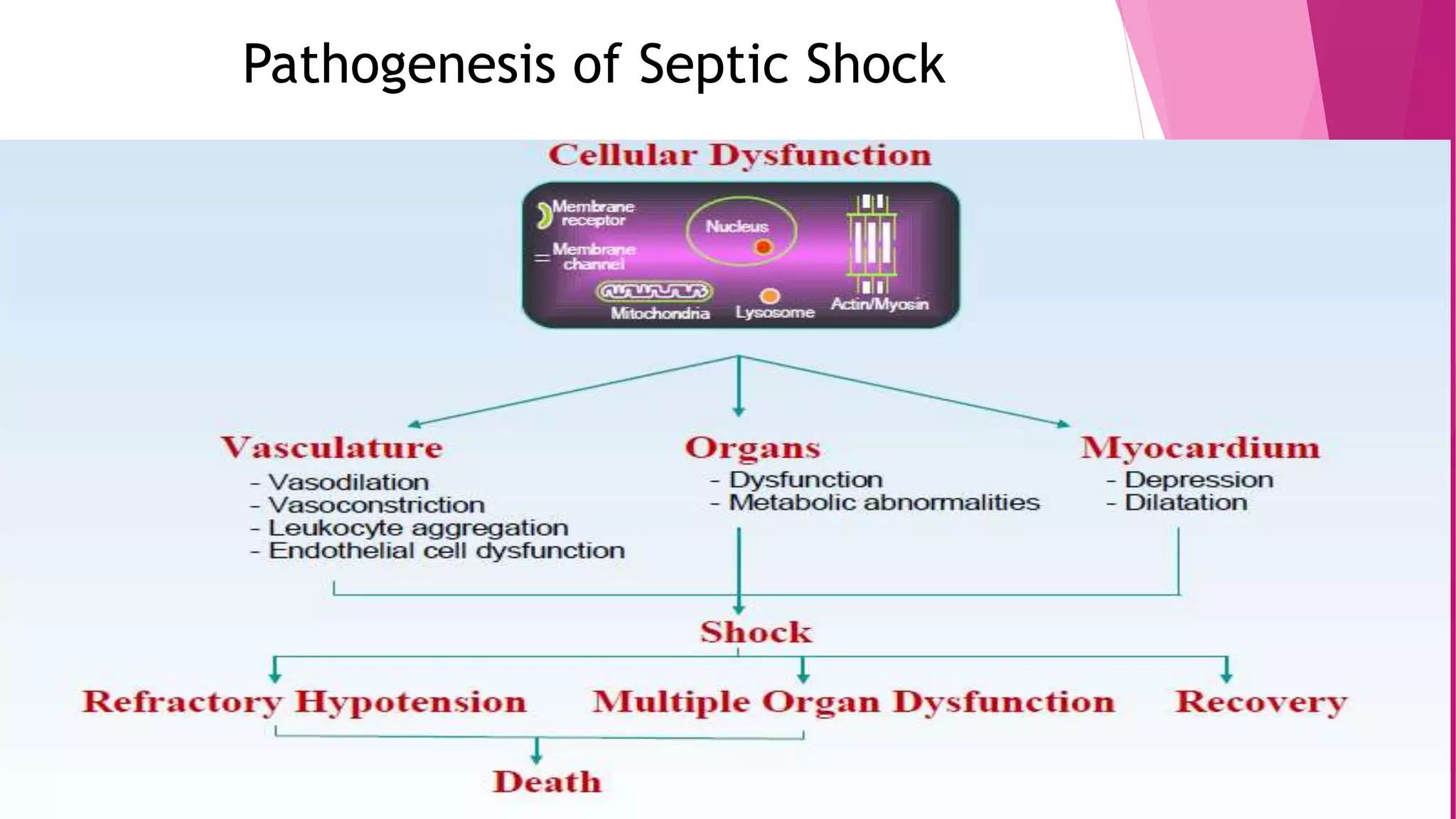 Sepsis and septic shock | PPTX