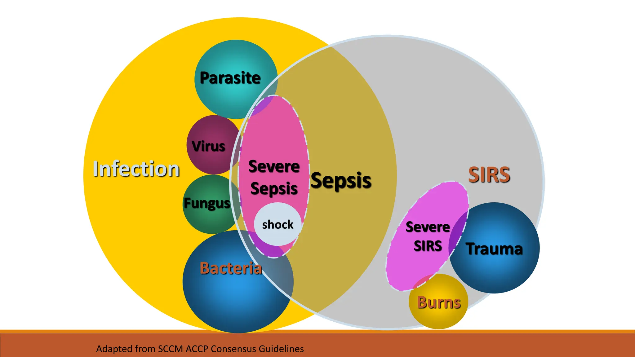 SEPSIS AND SEPTIC SHOCK.pptx