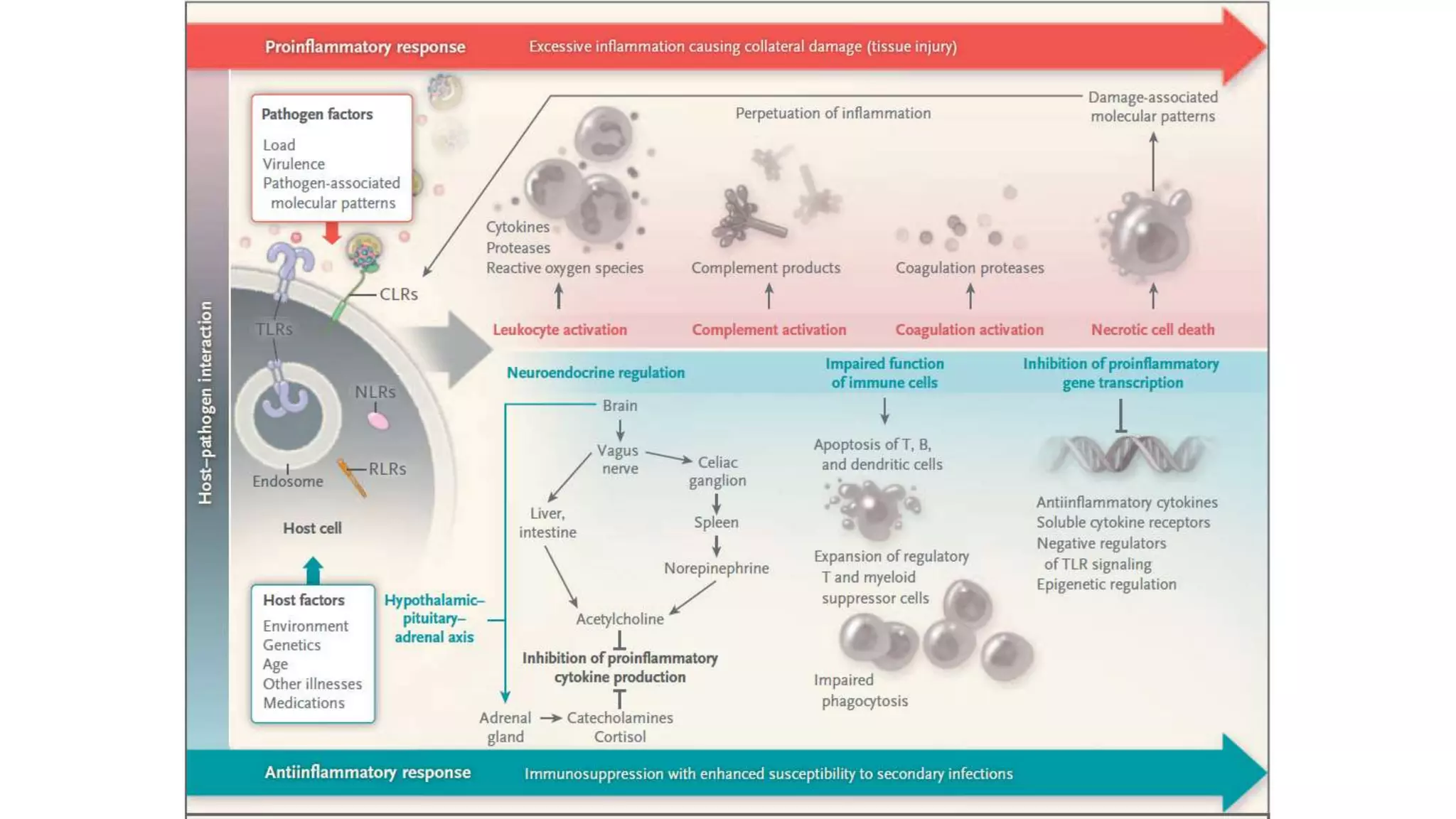 sepsis and septic shock guidelines[12585].pptx