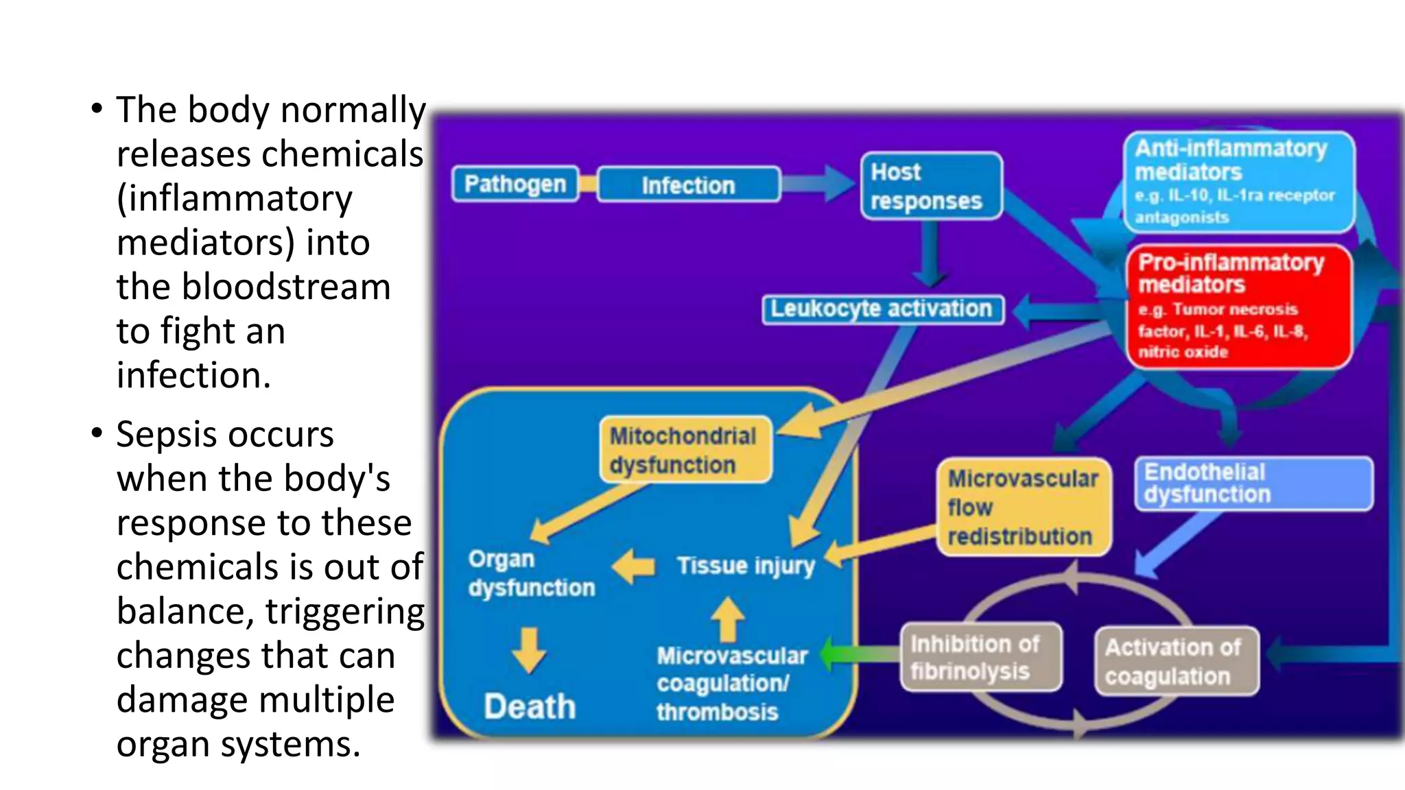 Sepsis and septic shock | PPTX