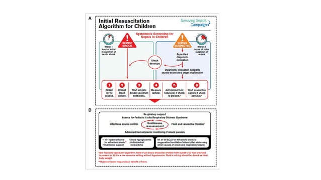 bundle en la oro de Horo de sepsis-.pptx