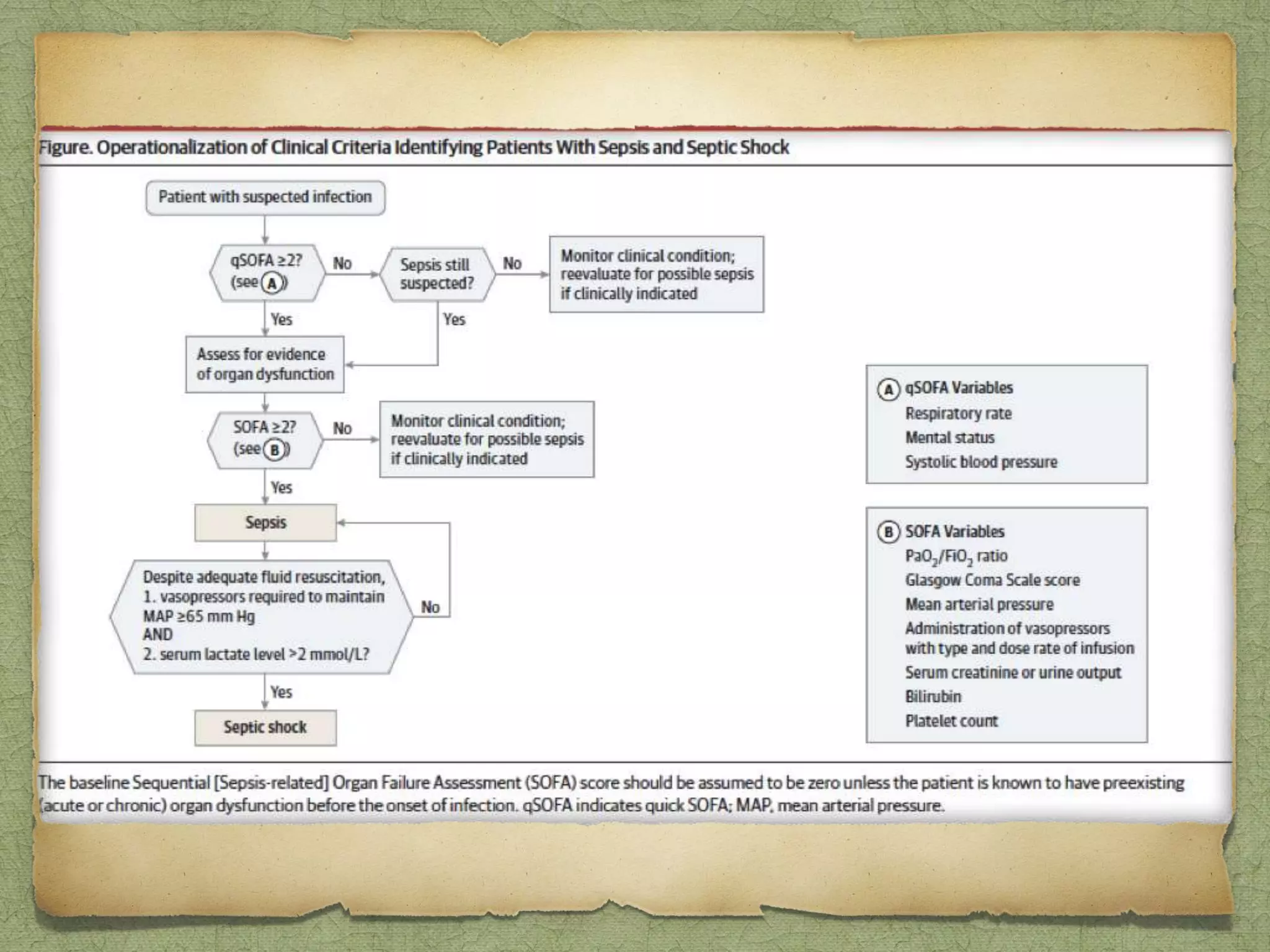 Sepsis definition | PPTX
