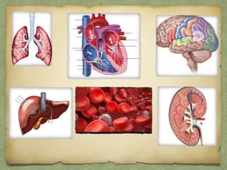 Sepsis definition | PPTX