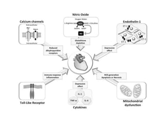 Systemic Inflammatory Response Syndrome SIRS and Septicemia | PPTX