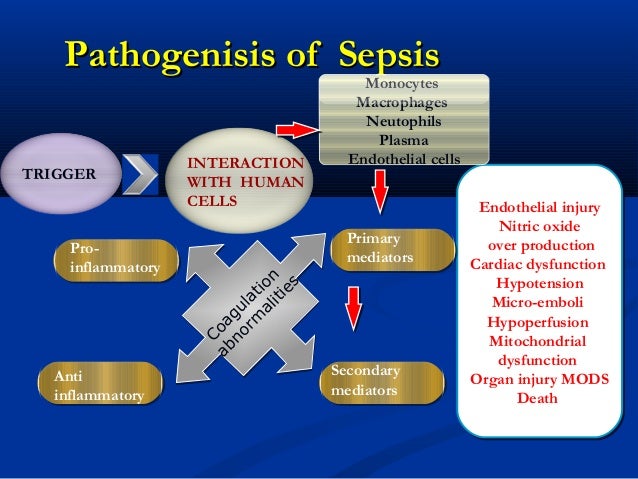 Sepsis guidelines 2015