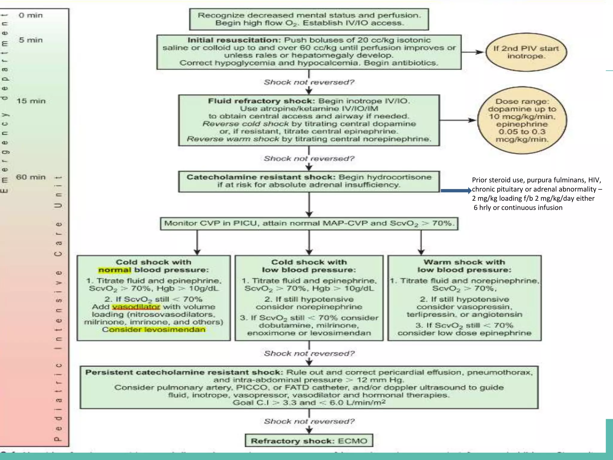 Sepsis in children | PPTX