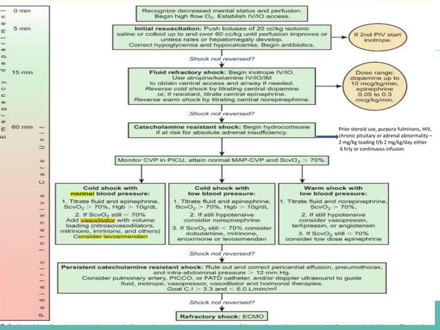 Sepsis in children | PPTX
