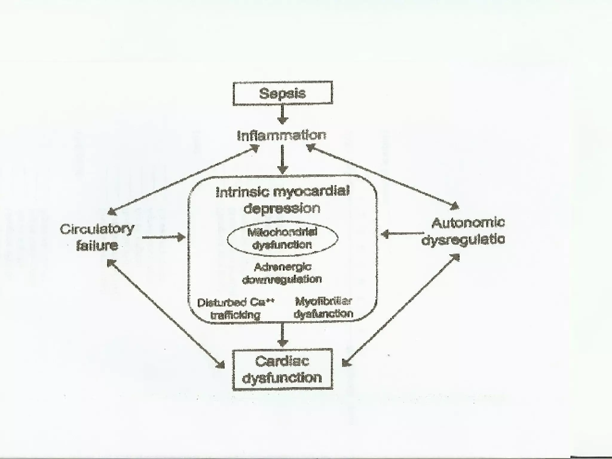 Sepsis-Induced Cardiac Dysfunction | PPT