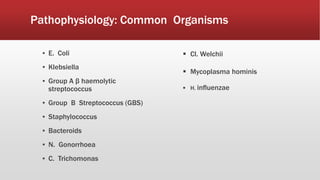 sepsis in obstetric and gynecology plus.pdf
