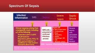sepsis in obstetric and gynecology plus.pdf