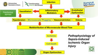 Sepsis_Kuliah_S1_2023.pptx