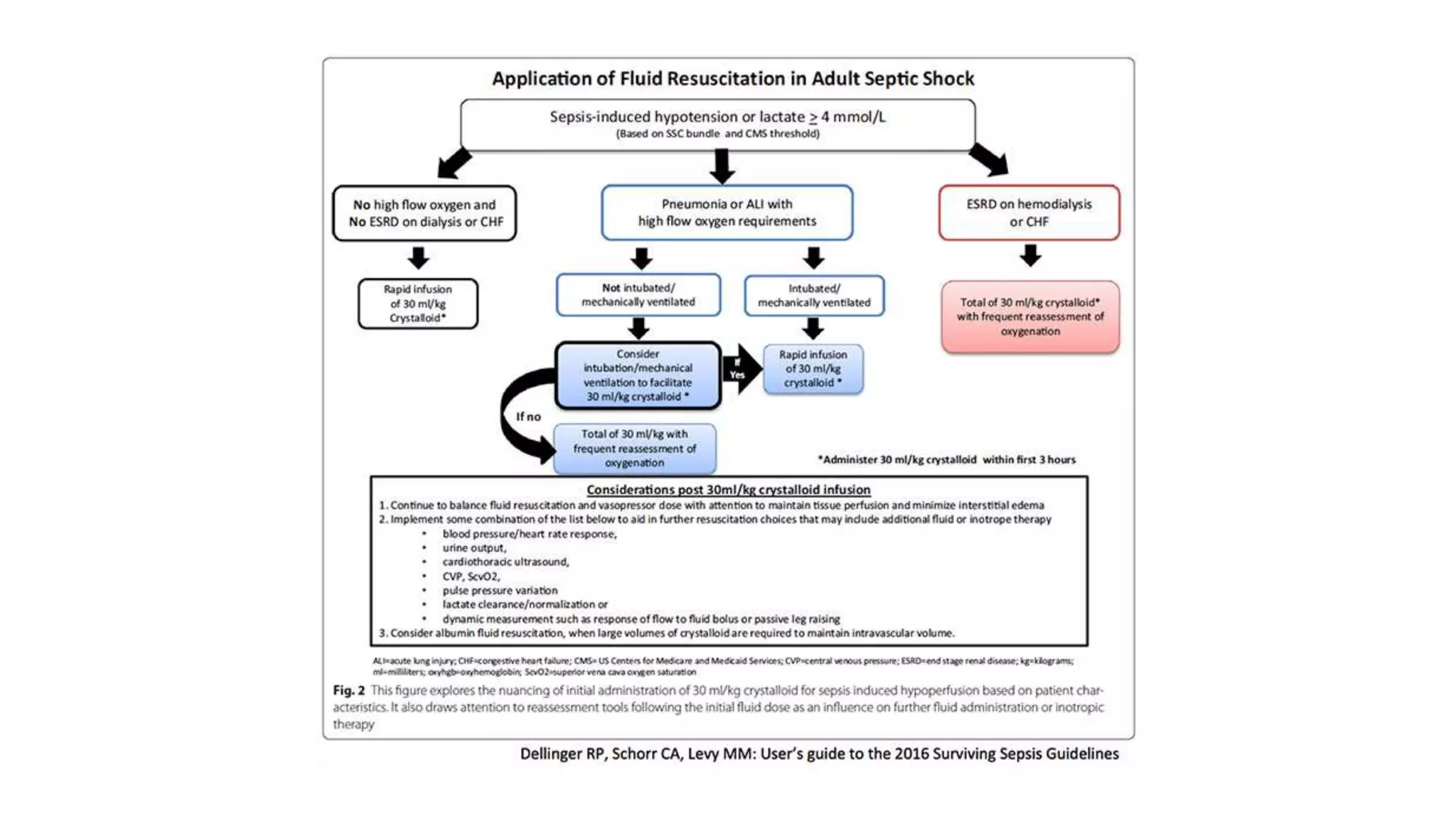 Sepsis management guidelines (SSC) 2018/2019 | PPTX