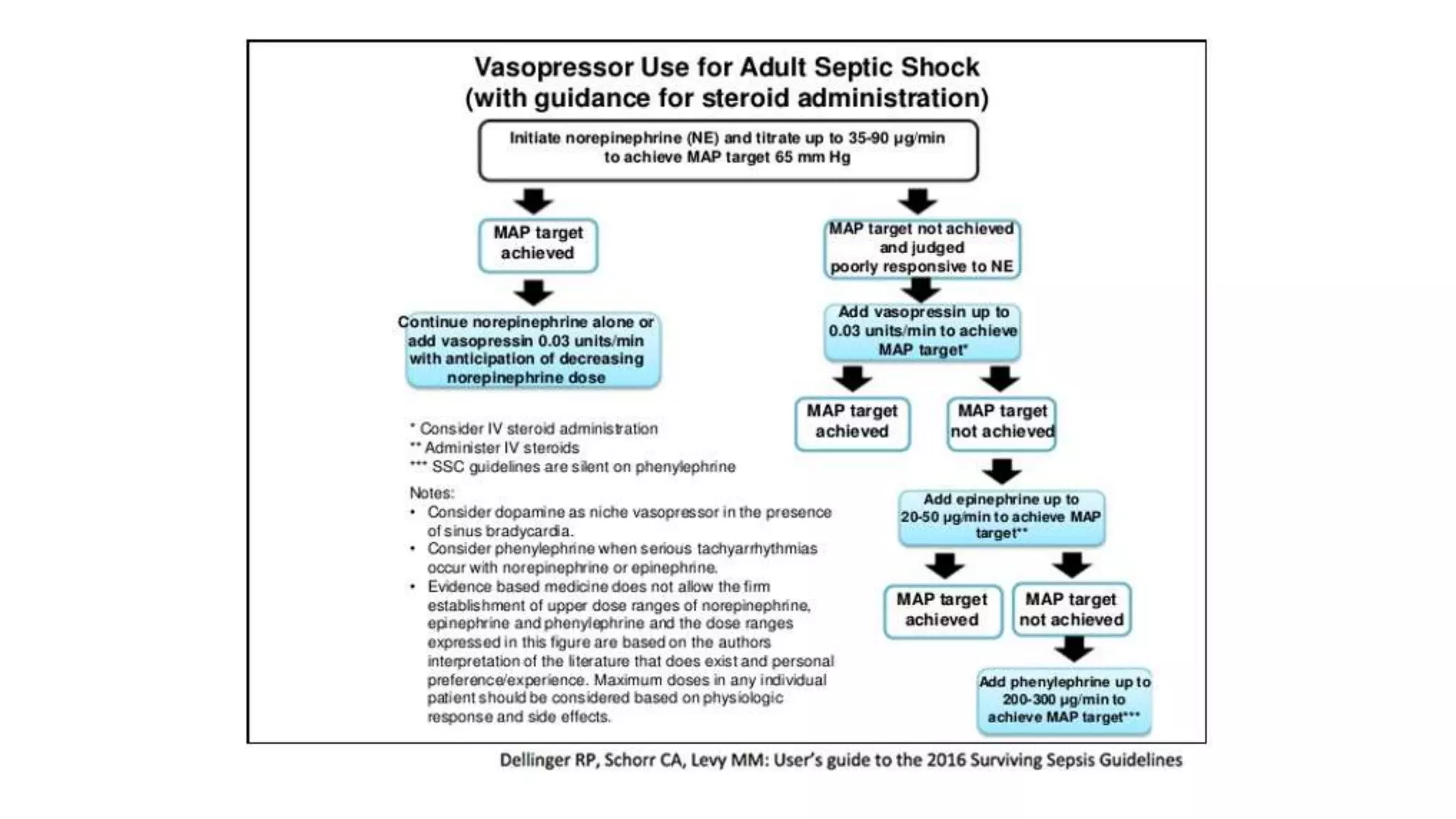 Sepsis management guidelines (SSC) 2018/2019 | PPTX