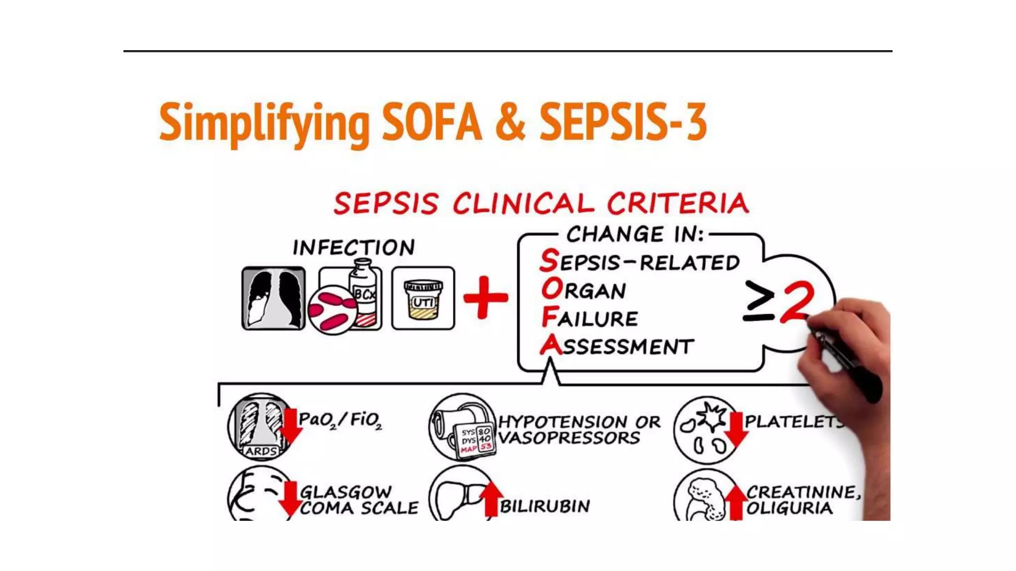 Sepsis management guidelines (SSC) 2018/2019 | PPTX