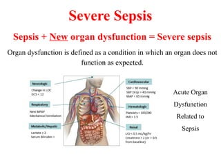 Sepsis managment in hospitalized patients | PPTX