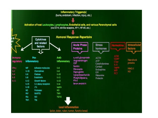 Sepsis markers