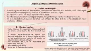 SEPSIS - SHOCK SEPTICO EN ADULTO - MEDICINA INTERNA | PPTX