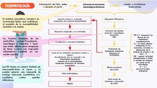 SEPSIS NEONATAL sepsis neonatalsepsis neonatal | PPTX