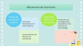 Sepsis neonatal | PPTX