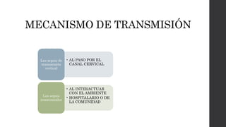 sepsis neonatal.pptx