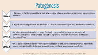 SEPSIS NEONATAL PEDIATRIA. SEPTIMO S .pdf | Pregnancy | Reproductive Health