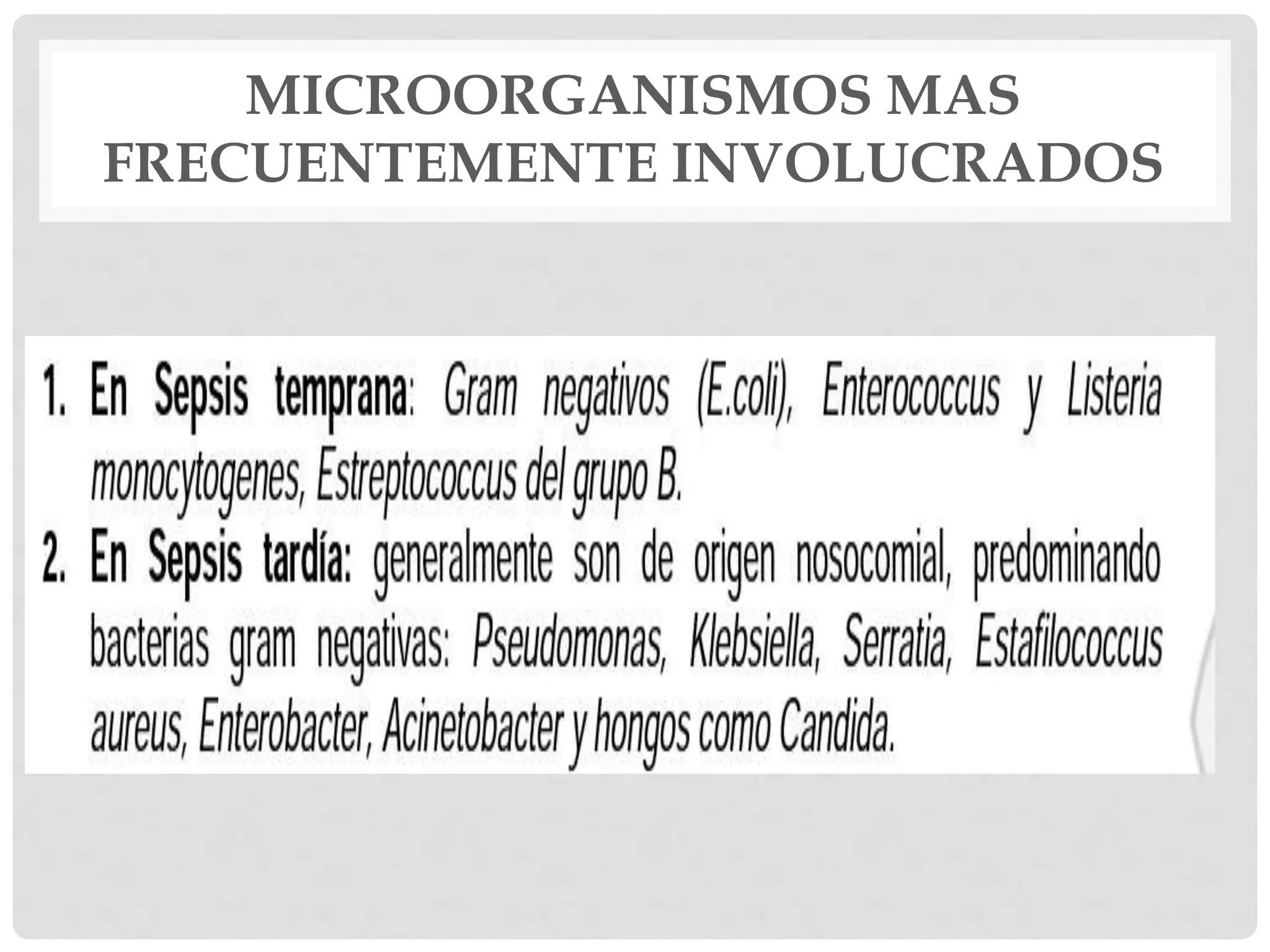 Sepsis neonatal y meningitis | PPTX | Infectious Diseases | Diseases ...