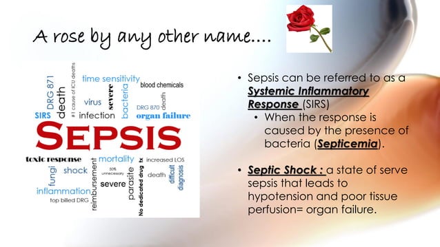 Sepsis Power Point Slides.pdf how to diagnose prevention | PPT