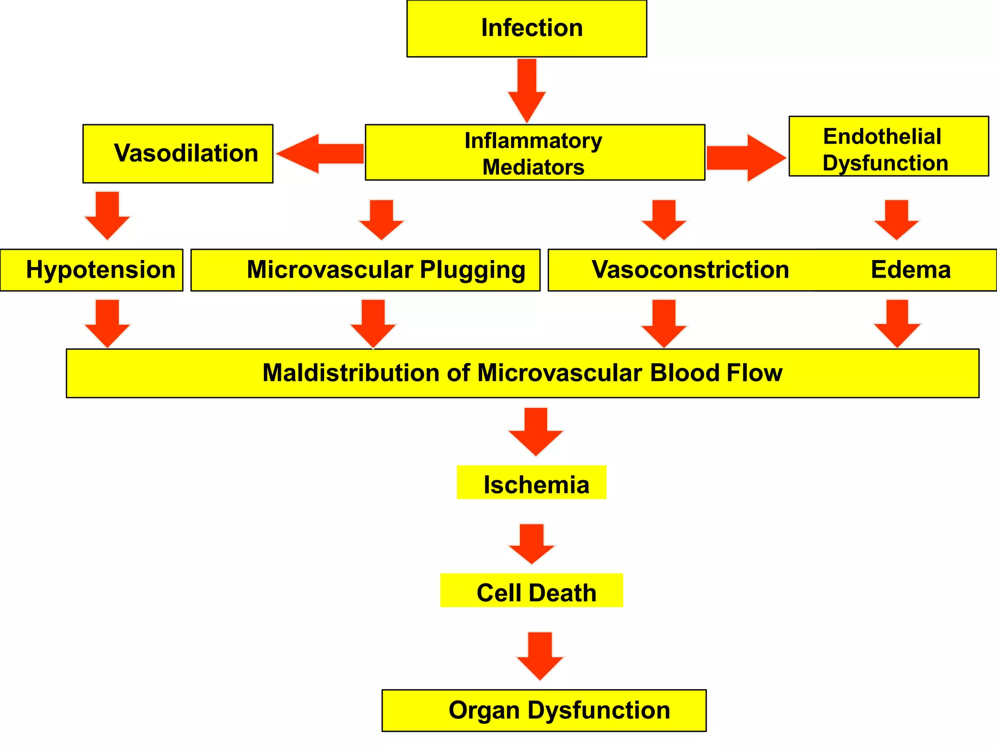 Sepsis, Septic Shock and Surviving Sepsis Guidelines | PPTX
