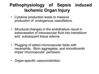 Sepsis, Septic Shock and Surviving Sepsis Guidelines | PPTX