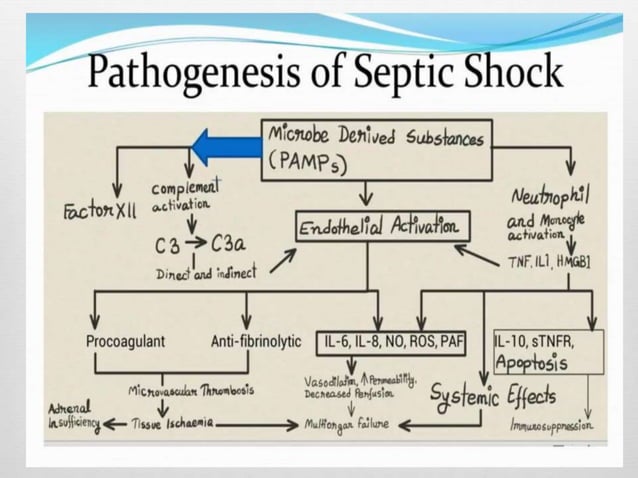 Acute Sepsis - Emergency Management | PPTX | First Aid | Injuries