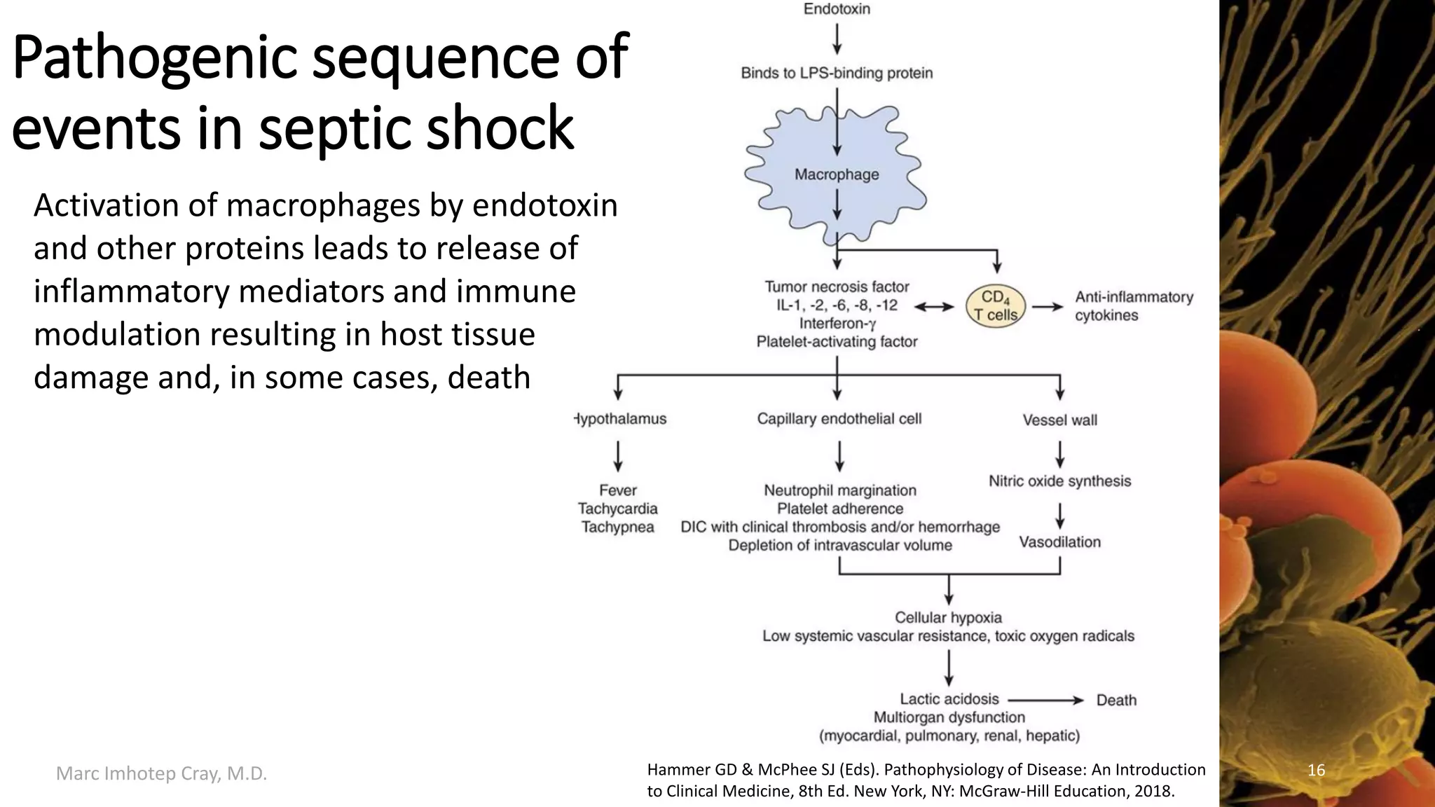 Sepsis & Septic Shock | PDF