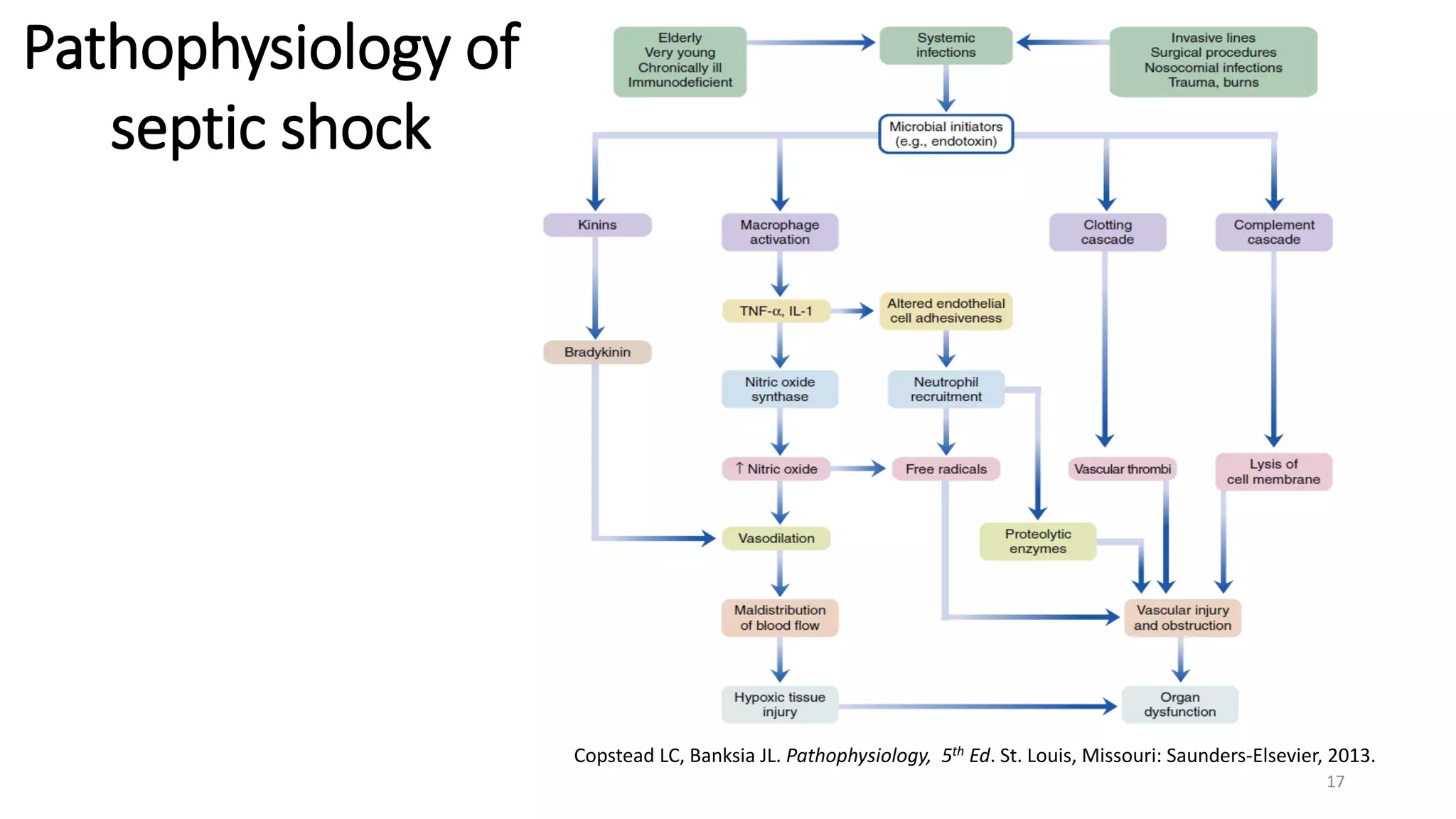 Sepsis & Septic Shock | PDF
