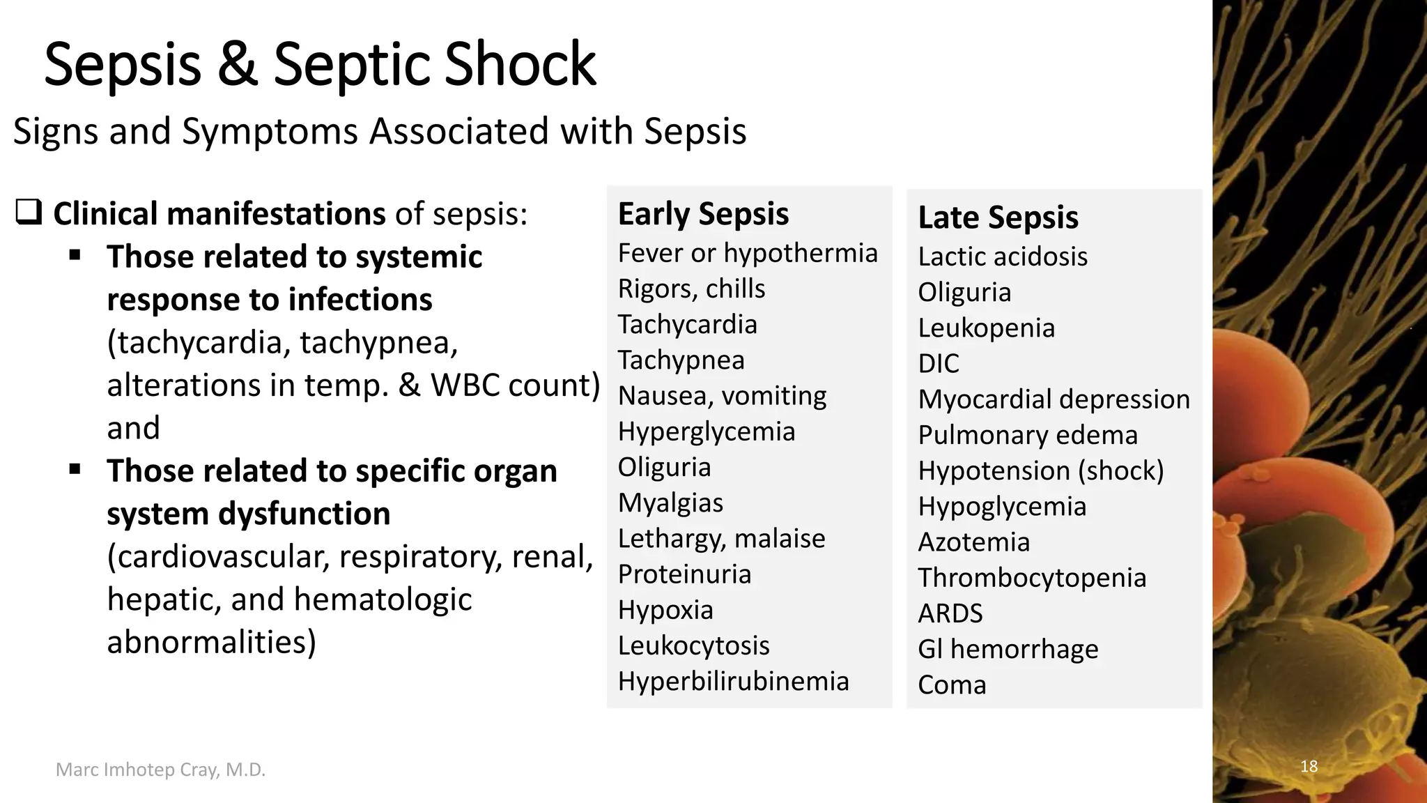 Sepsis & Septic Shock | PDF
