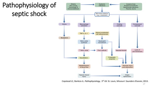 Sepsis & Septic Shock | PDF