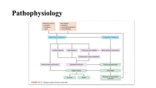 Approach to Sepsis & Septic Shock in Emergency Medicine. | PPTX
