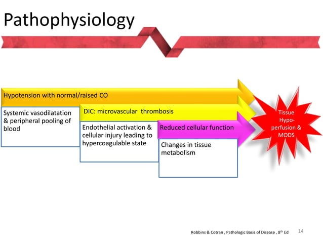 Sepsis | PPTX | First Aid | Injuries
